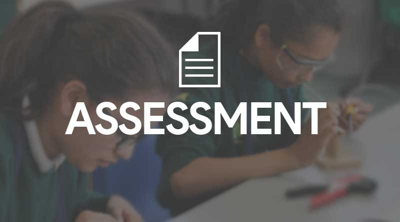 Assessment Wood Green Academy assessment-wood-green-academy