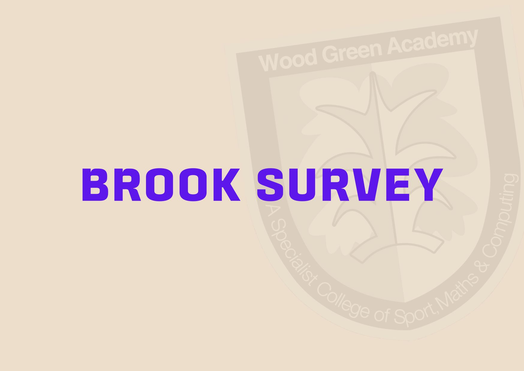 Brook Survey - Wood Green Academy