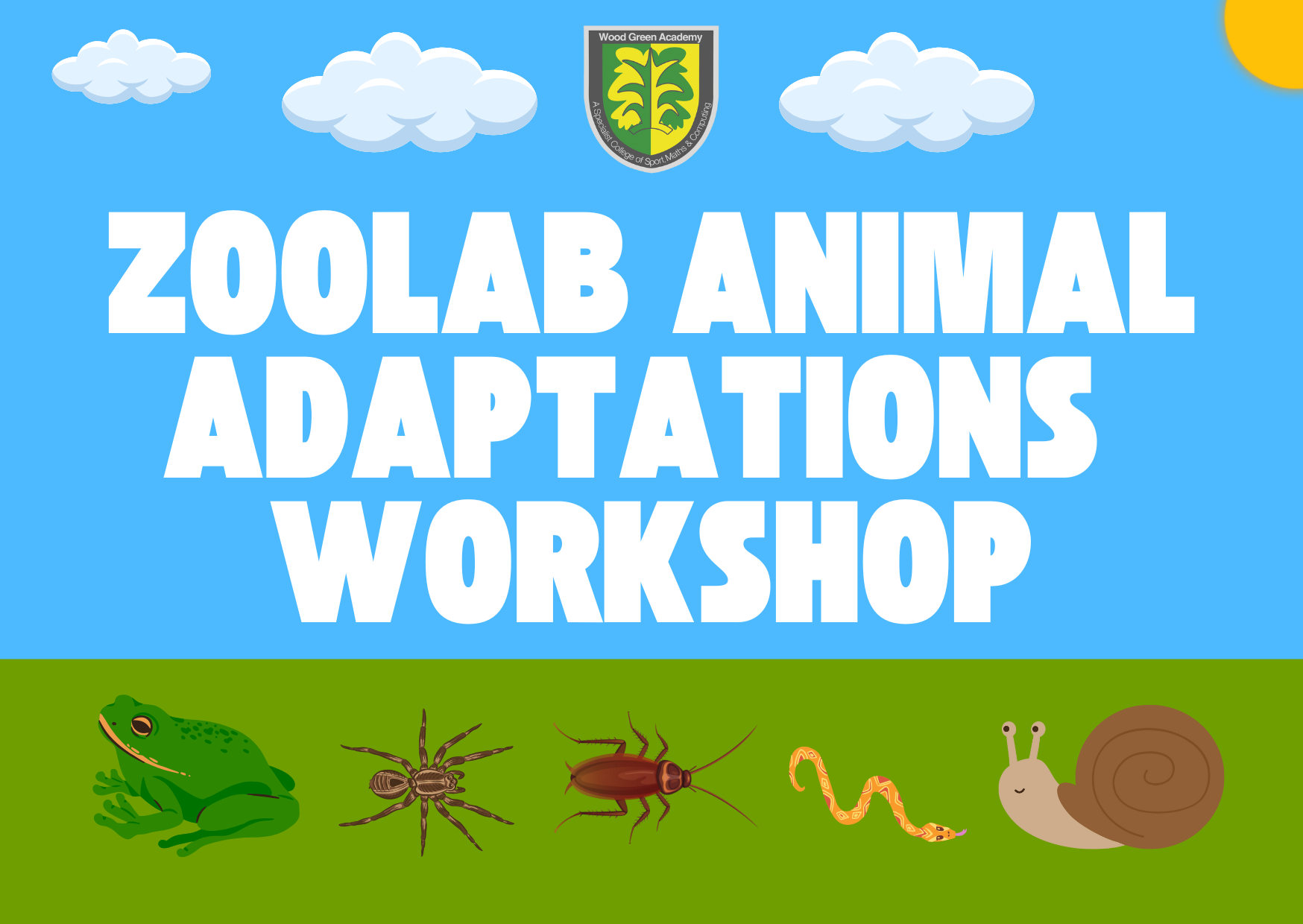 Zoolab animal adaptations workshop - Wood Green Academy
